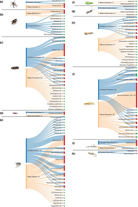 Intersex Bipartite Preyspider Species Interaction Network Lines