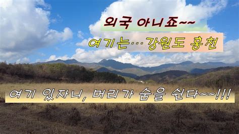 내촌 우리 여기에 집을 지으면 집에만 있고 싶을거 같아요 YouTube