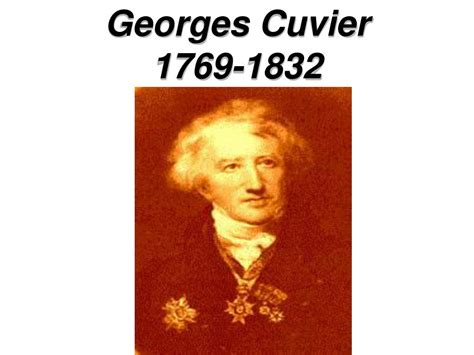 Ppt Evolution Powerpoint Presentation Free Download Id4924178