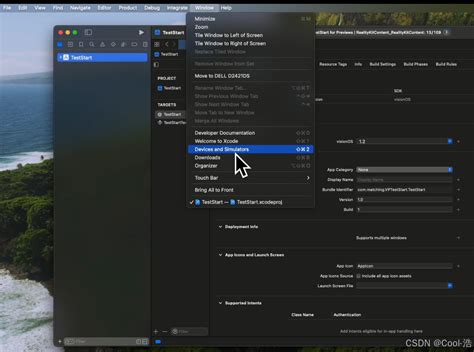 Unity Vision Pro 保姆级开发教程 打开开发者选项，xcode Wifi 无线调试发布vision Pro 开发者模式 Csdn博客