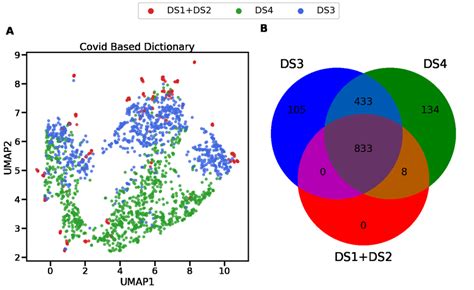 BOW Dictionary Encoded Repertoires Spatial Clustering And Dictionary