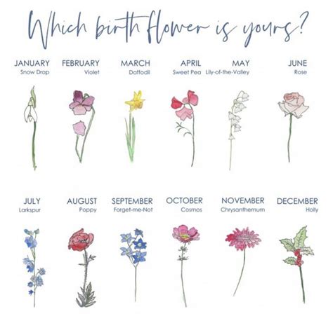 Pin By Sukanya Panukorn On Birth Month Flowers Birth Flowers Flower