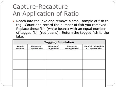 Ppt Capture Recapture Powerpoint Presentation Free Download Id 4144642