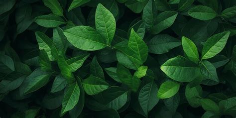 Premium Photo Green Plant Leaves Texture Generative Ai