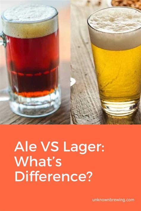 Ale Vs Lager Whats Difference