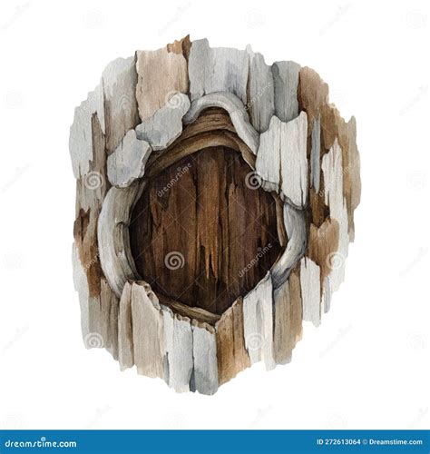 How To Draw A Realistic Tree Trunk