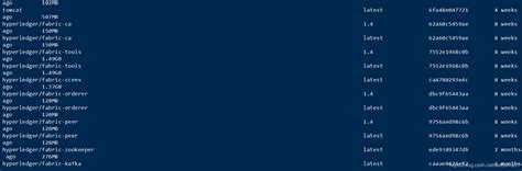 java与fabric区块链 fabric java jdk部署搭建 （1） fabric 安装好以后 怎么弄java csdn博客