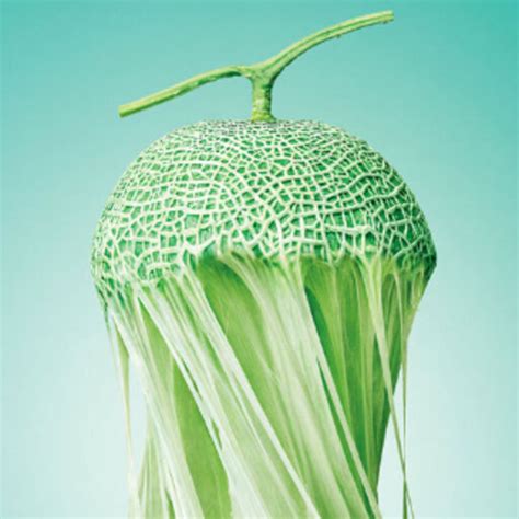 Yifan Peng Beijing University Of Technology Beijing Bei Gong Da