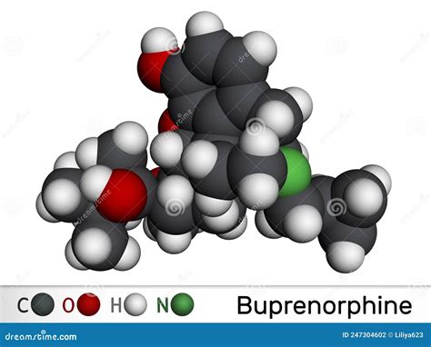Buprenorphine Morphinane Alkaloid Molecule It Is Semisynthetic Opioid