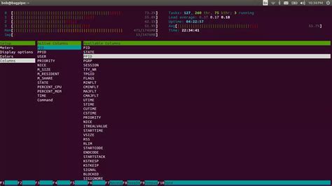 Htop Command In Linux Softprayog
