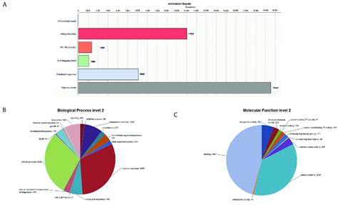 Annotation Of 19 547 Unique Transcripts Derived From Leaves Cdna