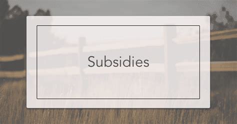Subsidies Explained Intelligent Economist