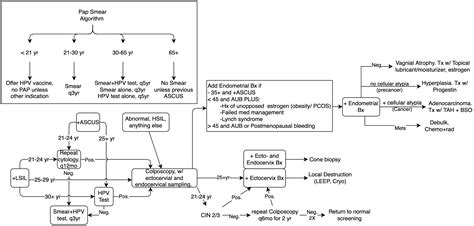 Pap Smear Algorithm Diagnosis Pap Smear Test Grepmed