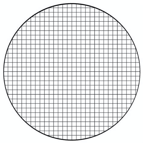 Ne10 Squared Grid Graticule 16mm