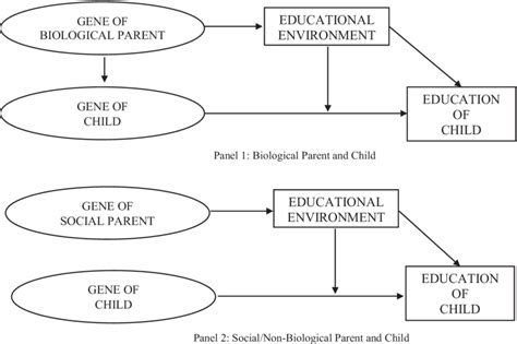 Gene Environment Interaction And Passive Gene Environment Correlation