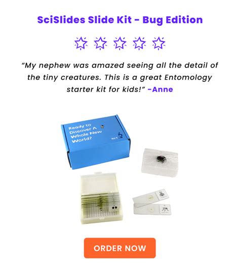 3 Email Design Examples To Inspire Your Email Marketing The Email Marketers