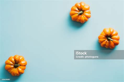 밝은 파란색 배경에 평평한 누워 오렌지 호박 최소한의 스타일 할로윈 또는 추수 감사절 개념 파란색에 대한 스톡 사진 및 기타 이미지 Istock