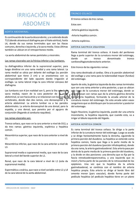 Irrigacion de abdomen E M IRRIGACION DE ABDOMEN E M IRRIGACIÓN DE ABDOMEN AORTA