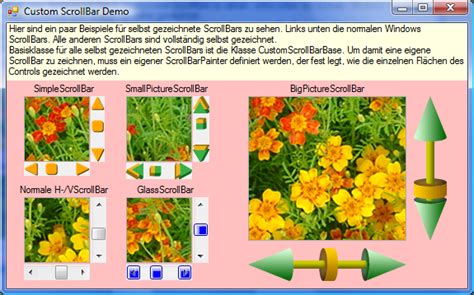 VB Gera Custom ScrollBar