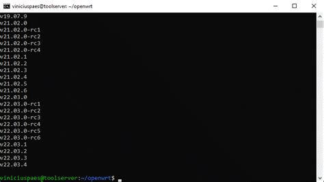 how to build a custom openwrt image for raspberry pi router vinicius paes