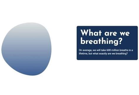 Mvtec Dataviz Visualization For Transparency Foundation