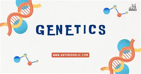 What Is Genetics Anthroholic