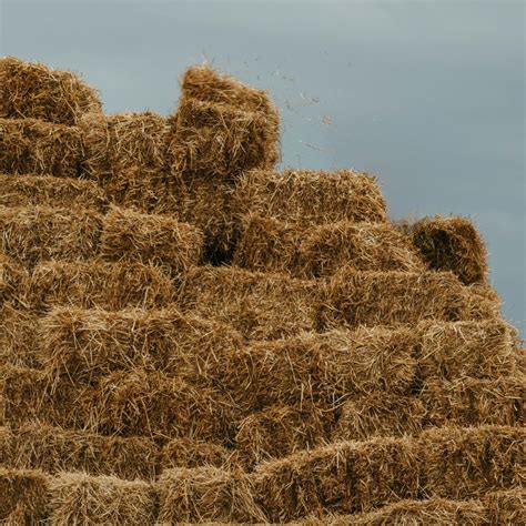 Missouri Hardwork Predictability Consistency Trust Reliability