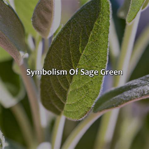 What Does The Color Sage Green Represent At Lee Emery Blog