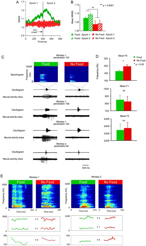 Vocalization Neurons Specificity For Food” Condition A Time Course Download Scientific