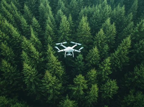 Efficient And Sustainable Forest Management With Drones Yokogawa Europe