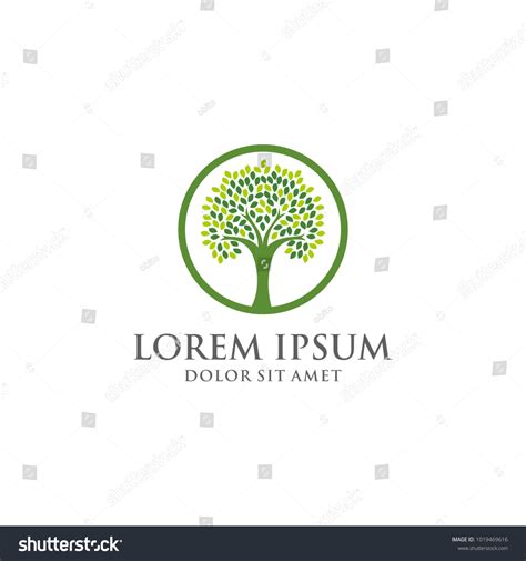Tree Vector Graphic Abstract Symbol Template Stock Vector Royalty Free