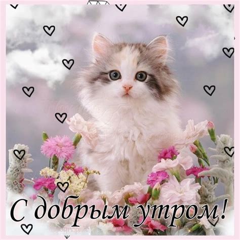 ☀️ С добрым солнечным утром Новый Луганск ВКонтакте