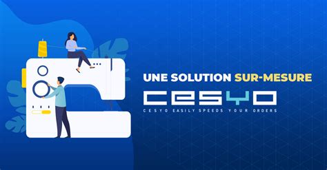 Cesyo Bilan Sur Loptimisation Adv De La Société Proweltek Asdoria