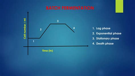 Advances In Fermentation Technologies Pdf
