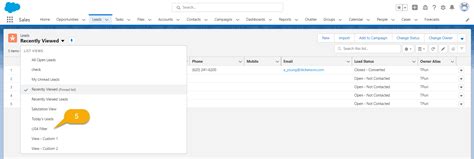 Salesforce List View SalesForce FAQs