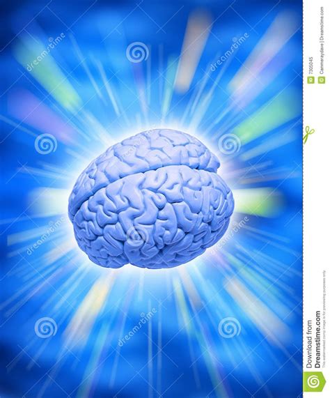 Human Brain Intelligence Creativity A Human Brain On A Vivid Blue