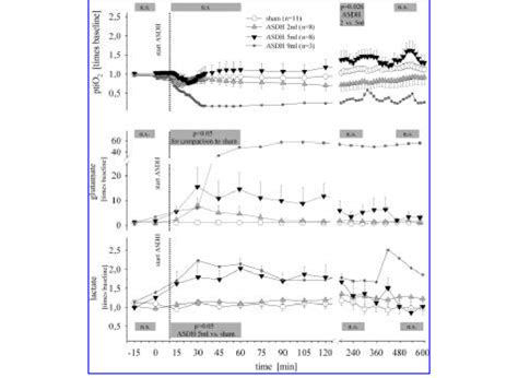 Relative Tissue Oxygen Concentration Ptio 2 Top Glutamate