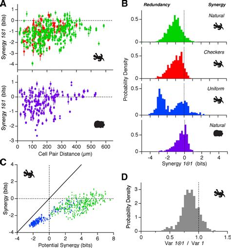 Synergy From Silence In A Combinatorial Neural Code Journal Of
