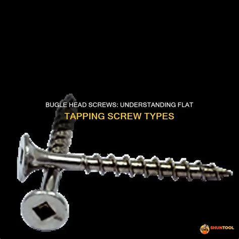 Bugle Head Screws Understanding Flat Tapping Screw Types Shuntool