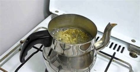 სისხლძარღვებს სისუფთავე რომ შეუნარჩუნოთ და ზედმეტი მარილები დაშალოთ მიირთვით ნატურალური ჩაი