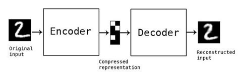 Auto Encoder What Is It And What Is It Used For Part 1 By Will Badr Towards Data Science