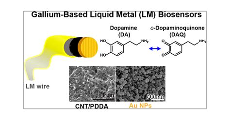 Multilayer Carbon Nanotubegold Nanoparticle Composites On Gallium Based Liquid Metals For