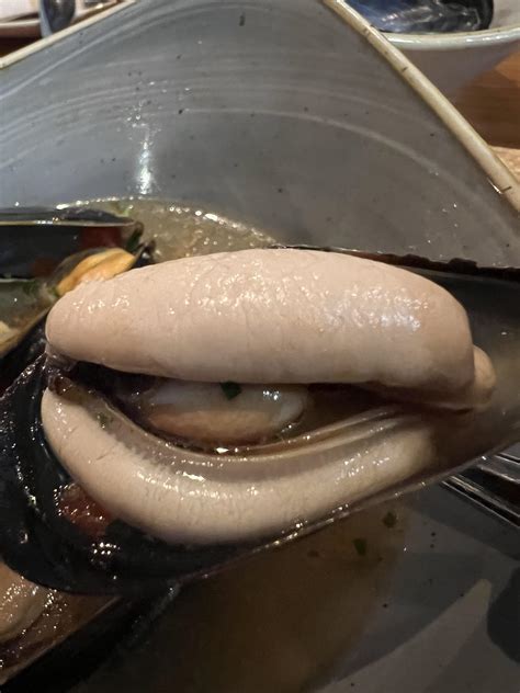 One Of My Mussels Looks Like An Eye R Mildlyinteresting