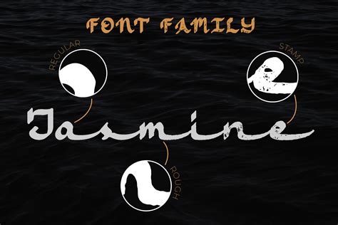 Jasmine Script Brush Font Bundles