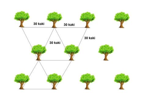 1 Ekar Berapa Pokok Jarak Tanam Durian Bukit Tapah Durian Orchard