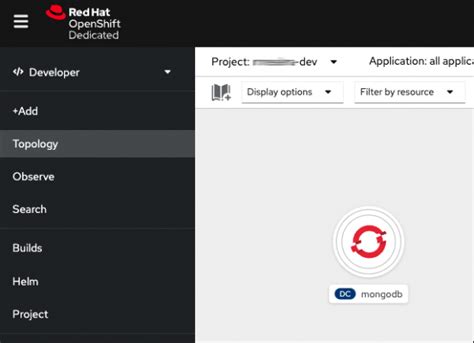 Work With Databases In The Openshift Web Console Foundations Of