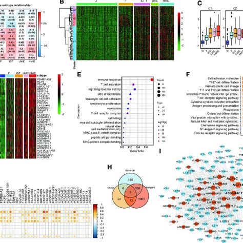 Estimation Of The Correlation Between Tumor Infiltrating Cells And The Download Scientific