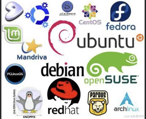初识linux · 基本指令1 Csdn博客