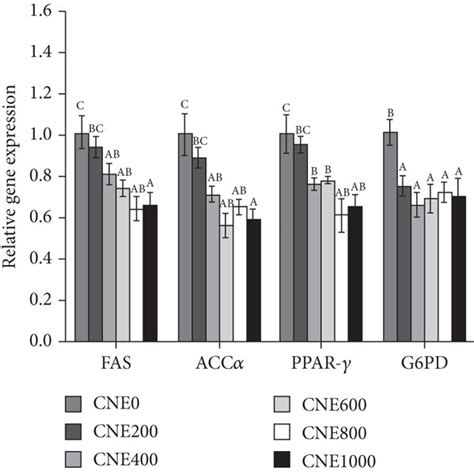 Relative Gene Expression Of Ppar α Hsl And Cpt1 In Juvenile H