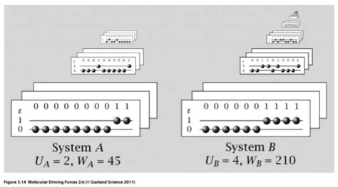 3 Consider The Lattice Gas Example Of Energy Flow